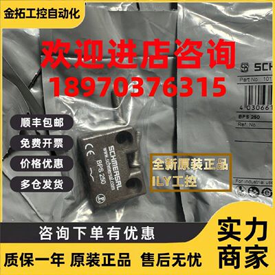 议价SCHMERSAL磁铁BPS250全新原装正品现货BPS 250