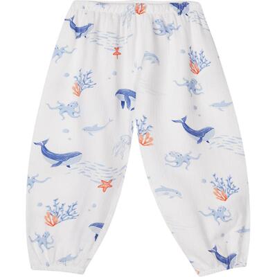 2023儿童防蚊裤灯笼裤裤子ibaby