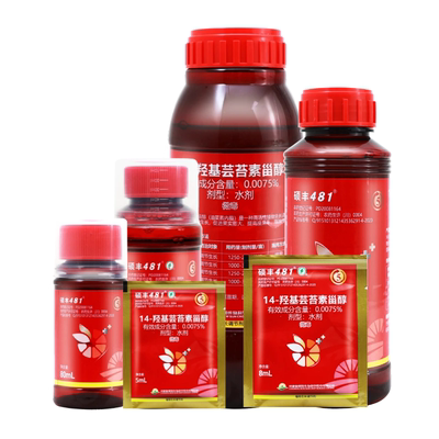 481硕丰14-羟基芸苔素甾醇解药害