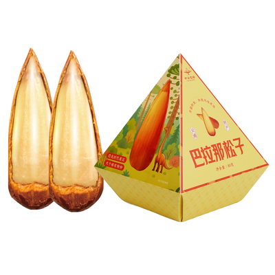 中云巴松巴拉那松子拇指大松子