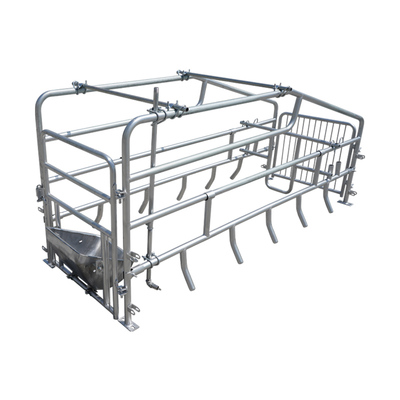 落地式母猪产床限位栏养殖设备