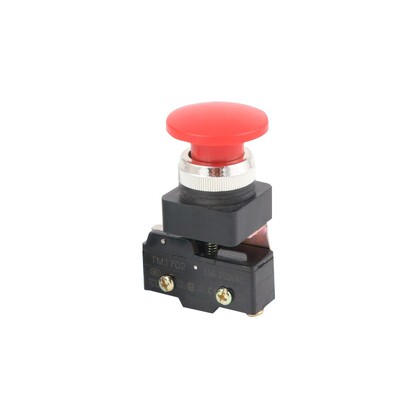 TBMM-25/30蘑菇头微动开关