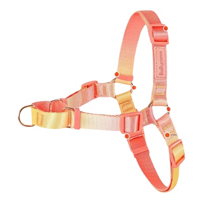 Easywalk前牵引防爆冲狗狗胸背牵渐变引绳中大型犬随行训练狗绳