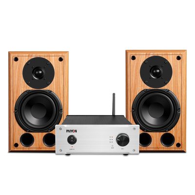 派扬玲韵音箱A200功放桌面套装