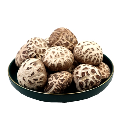 东北特产长白山大花菇纯剪腿500g