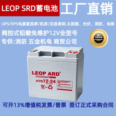 LEOPARD蓄电池HTS122412V24AH消防UPS应急EPS集中电源备用电瓶