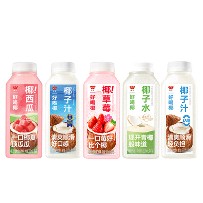 味全好喝椰冷藏饮品300ml