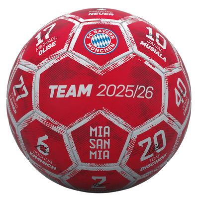进口拜仁足球2526赛季全队签名纪念5号球官方正品54671品德居现货