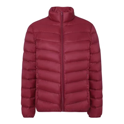 90%白鸭绒羽绒服立领轻薄款