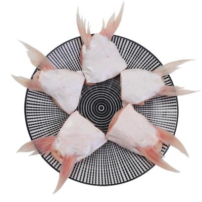 新鲜巴沙鱼鳍鱼翅回鮰鱼鳍鱼下巴