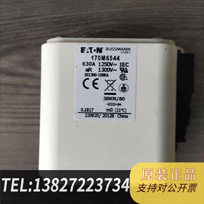 原装正品原装熔断器170M6538170M6现货议价