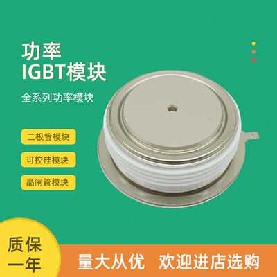 议价半导体控制整流器晶闸管T2156N22TOF T2156N24TOF T2156N26TO