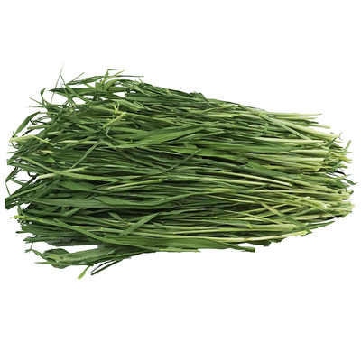 2025新小麦草粗纤维磨牙 兔子干草龙猫豚鼠荷兰猪宠物牧草主粮1kg