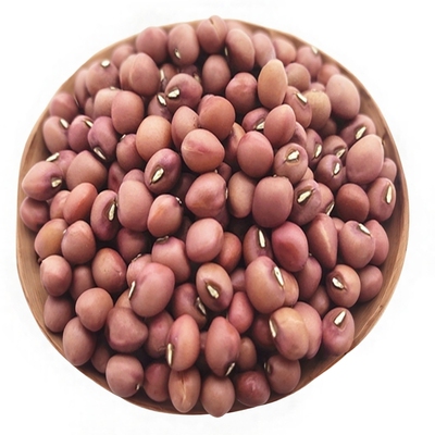 安徽特产红豇豆味美飘香乐健康