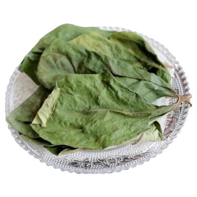 柿子叶干中药材的功效霜降茶霜打过柿树叶天然柿叶新鲜柿子树叶子