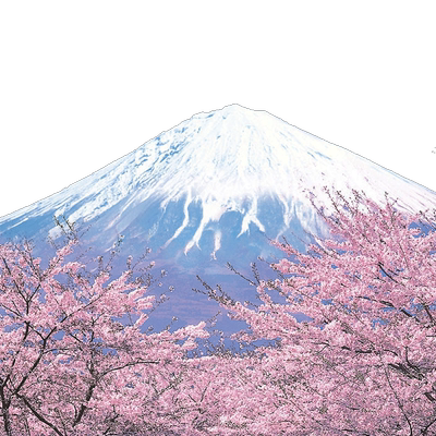 日本单次旅游签证上海送签