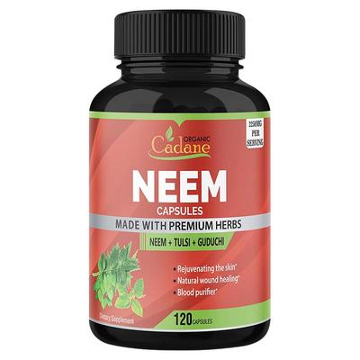 NEEM印楝叶粉免疫系统肝功能健康