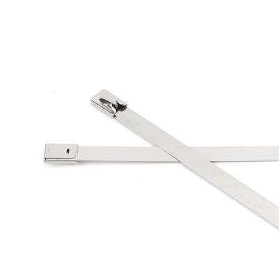 伟达高广东不锈钢扎带量大价优