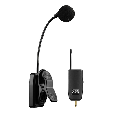 森玛田演出无线笛子葫芦丝二胡