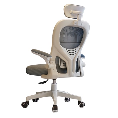 电脑椅人体工学椅家用宿舍大学生耐用办公椅子舒适久坐靠背电竞椅