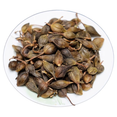 无柄青翘山西连翘新货颜色好