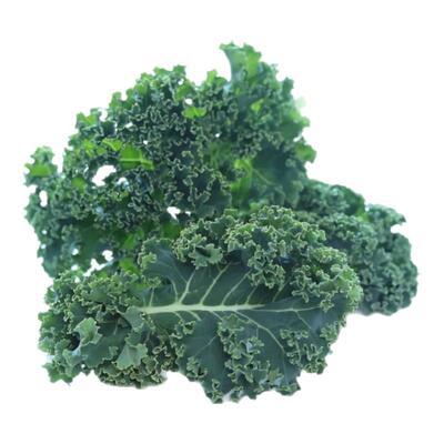 云南新鲜羽衣甘蓝西餐菜基地直发