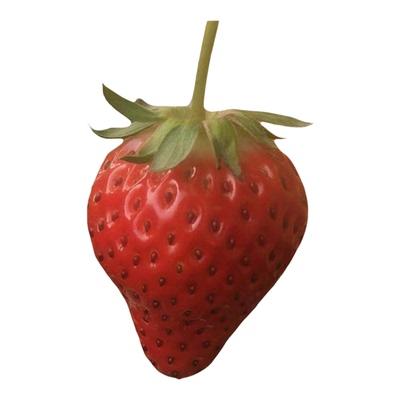 正宗红颜草莓容莓3号江苏句容草莓之乡产地直发新鲜孕妇水果放心