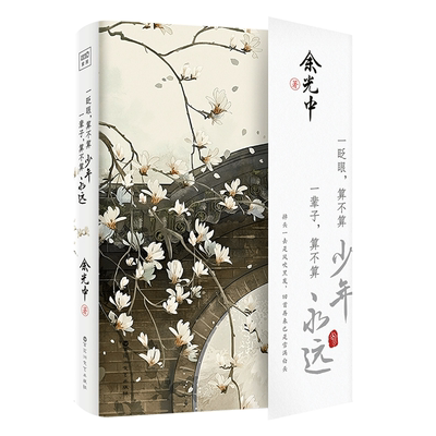 眨眼算不算少年一辈子算不算永远