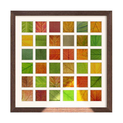 落叶标本相框定制diy手工礼物