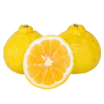 【顺丰直达】春香金柚10斤礼盒装