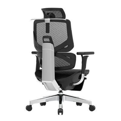 Ergomax电脑椅人体工学