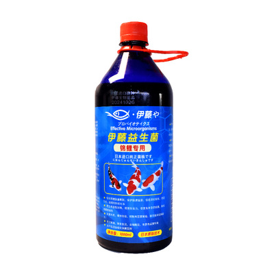 伊藤日本进口em菌原液硝化细菌锦