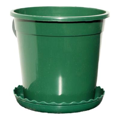 天津君子兰透气花盆塑料