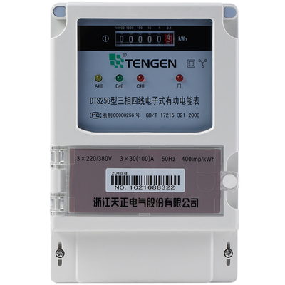 TENGEN天正DTS256电子表