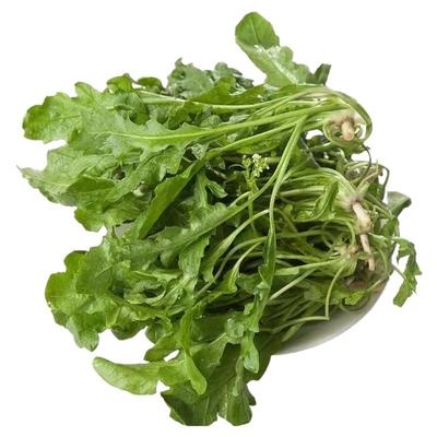荠菜新鲜野生现挖现发荠菜