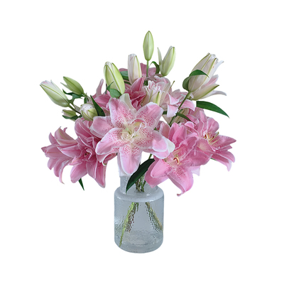 【顺丰次日达】新鲜香水百合鲜花