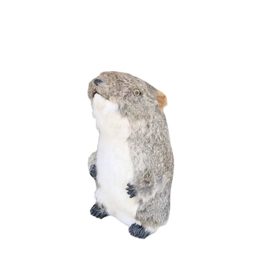 仿真土拨鼠玩偶旱獭模型