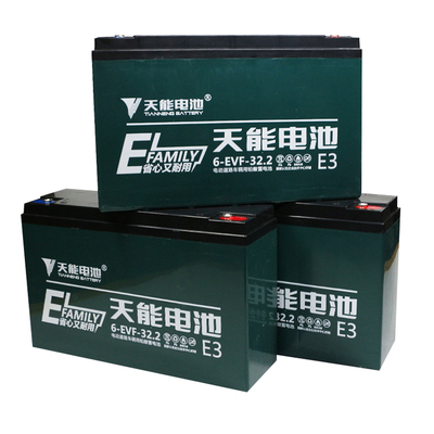 天能电动车铅酸电池48V20AH