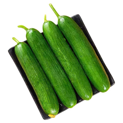 【产地直发】水果黄瓜 当天采摘 脆嫩多汁小青瓜