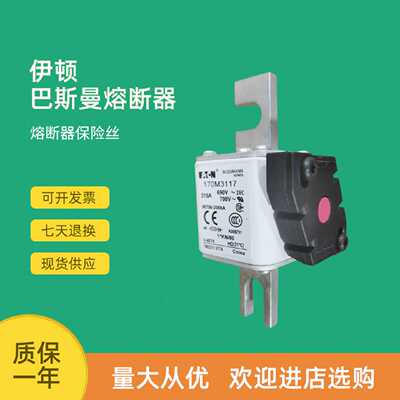 议价全新快速熔断器保险170M3166 170M3167 170M3168 170M3169