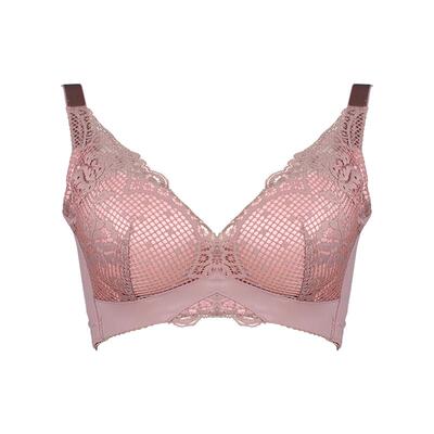 专柜新款杯聚拢内衣女文胸燕窝