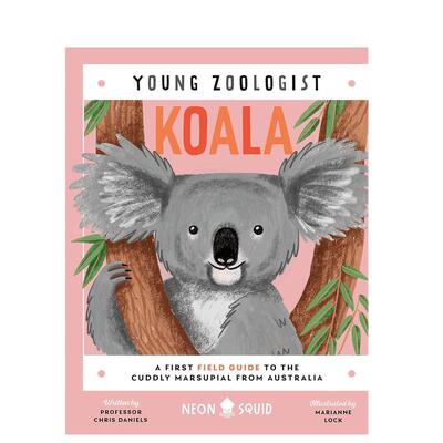 【青年动物学家】考拉【