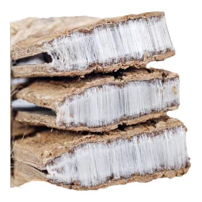 【拉丝率达99%】拉丝杜仲500g