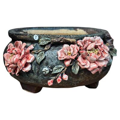 青藤韩式多肉群生口径粗陶绿植盆