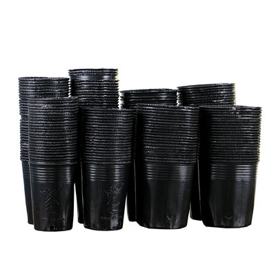 营养杯育苗杯兰花培育简易盆加厚