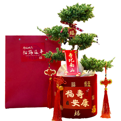 好寓意植物松鹤延年祝寿绿植礼品