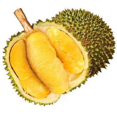 大马彭亨州D200黑刺榴莲入口即化