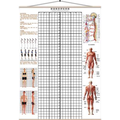 瑜伽健身房中医馆体姿体态评估表