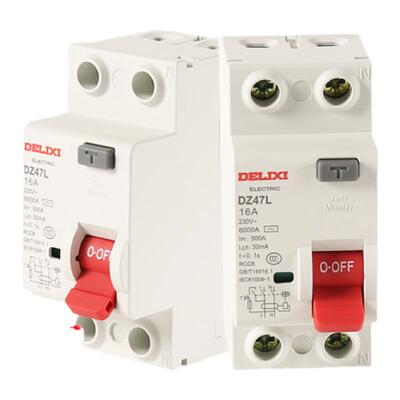 德力西漏电保护器 CDL7 2P 63A 漏保家用保护开关 DZ47L自动跳闸