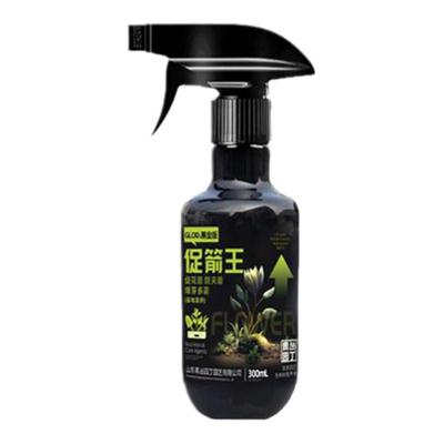 促花箭促箭王青丛园丁兰花专用